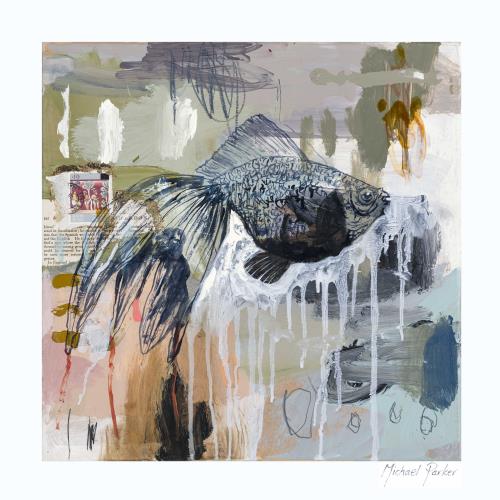 Goldy - 330mm x 330mm - Open Ed. Print on Canvas - Michael Parker – Michael Parker Galleries